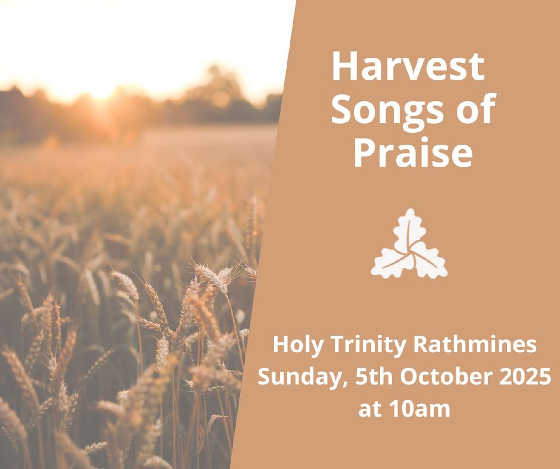 Harvest Songs of Praise at Holy Trinity Rathmines - The United Dioceses ...