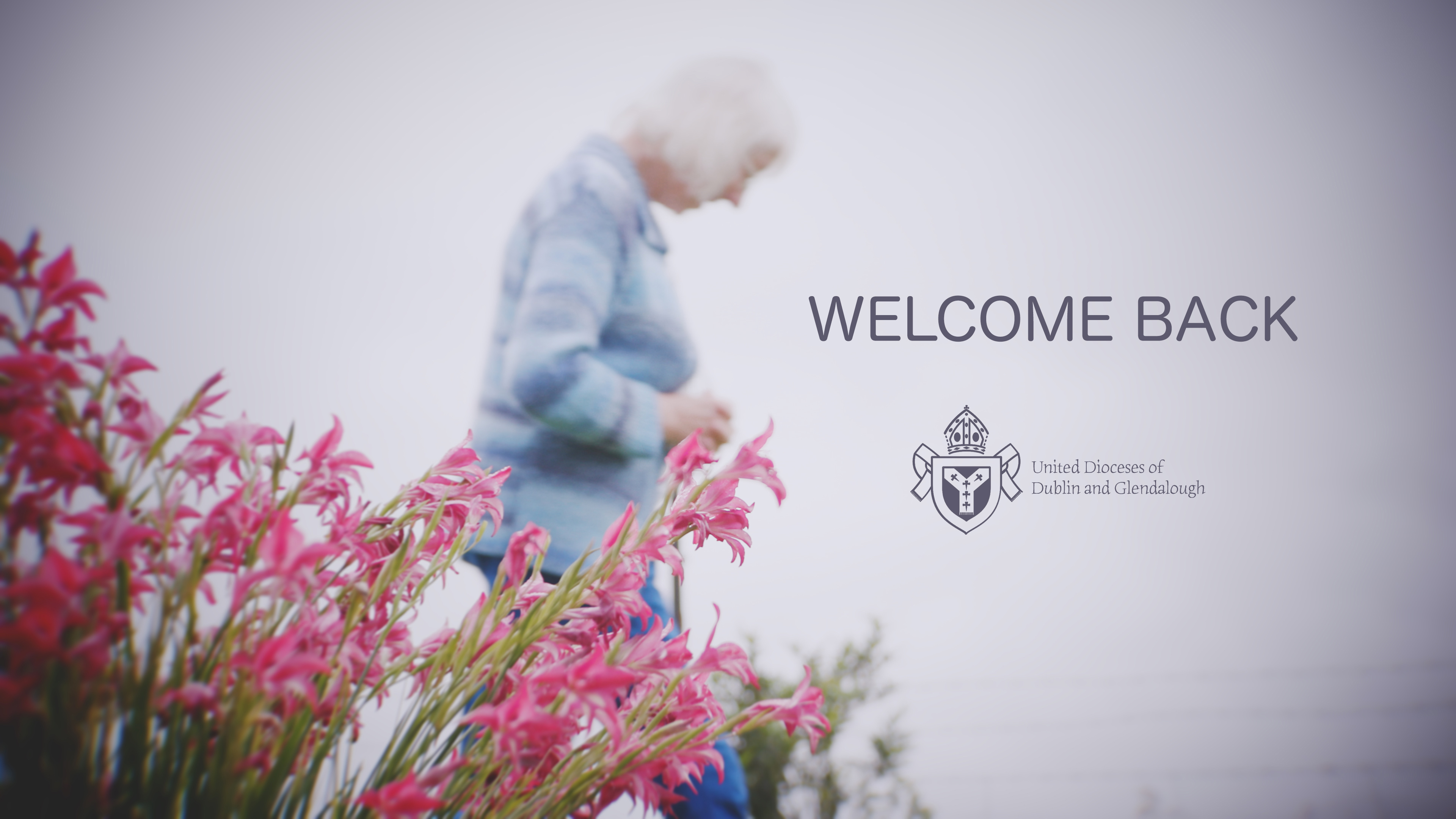 Watch: Welcome Back – Life and Faith in Lockdown - The United Dioceses ...