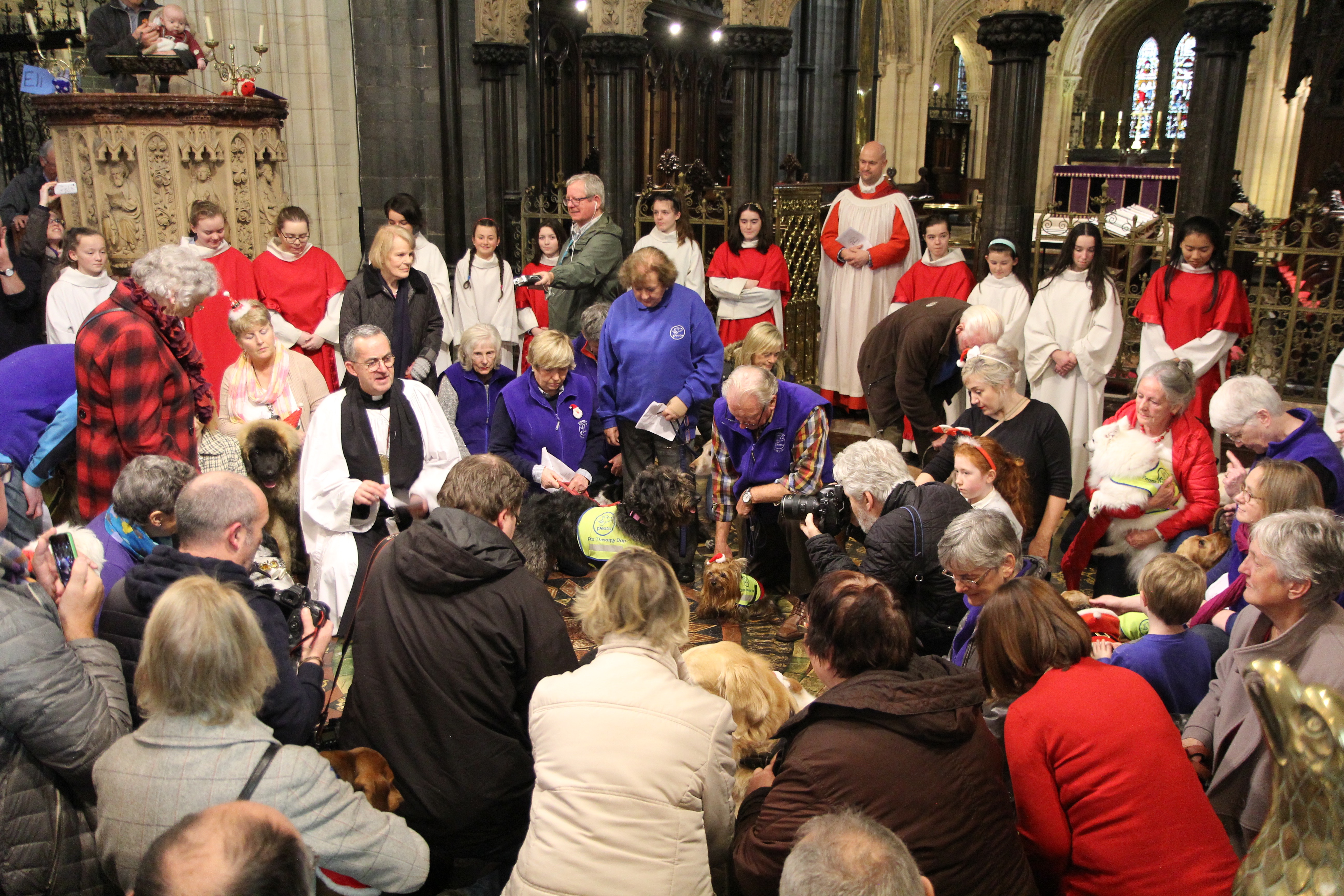 Dogs’ Contribution to Humans Celebrated at Peata Carol Service - The ...